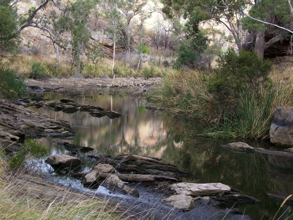 Eradication of Cactus in the Onkaparinga River National Park | Adelaide ...