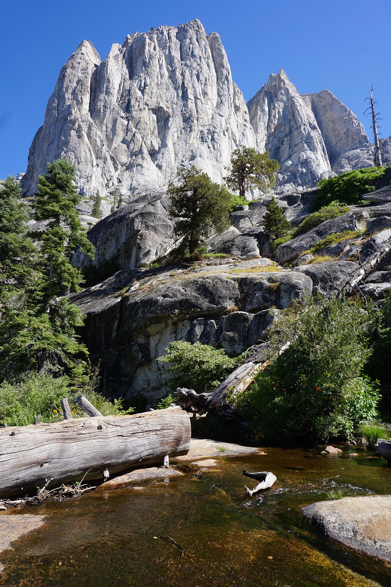 Sequoia National Park Sierra Nevada | Adelaide Bushwalkers